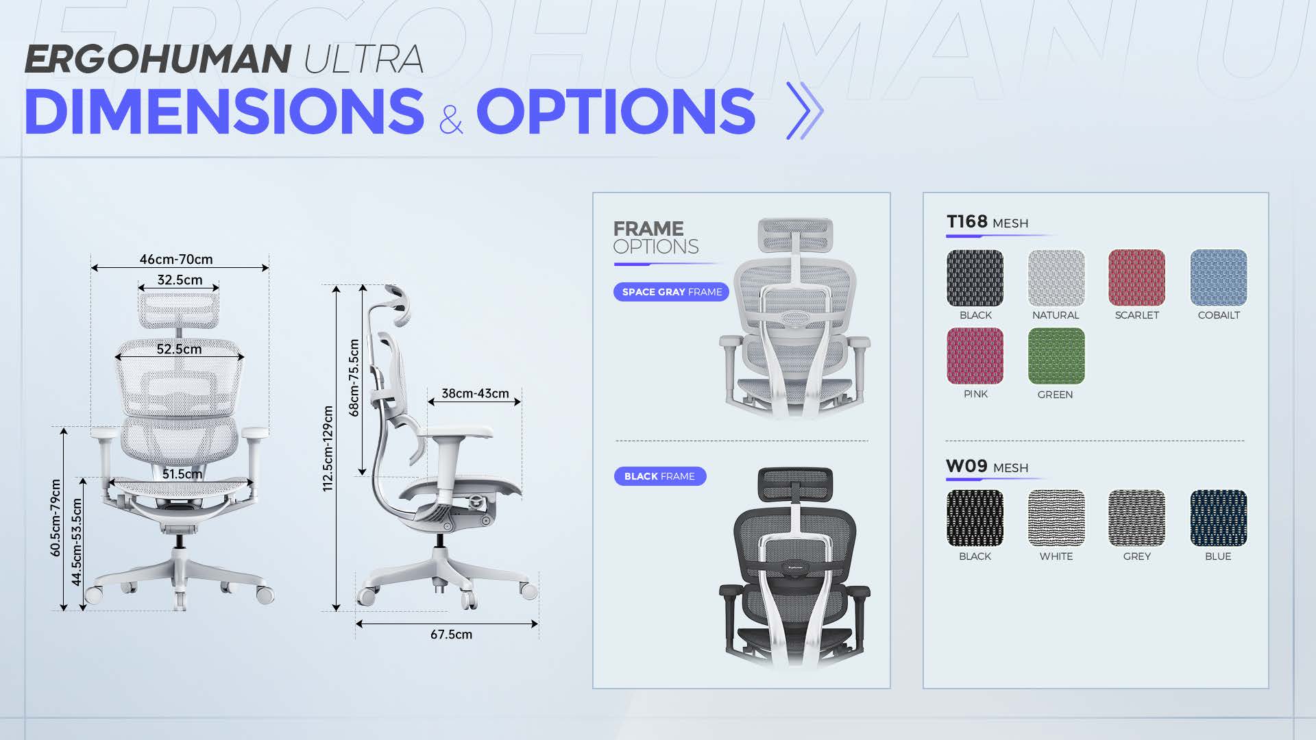 Ergohuman Ultra USA Patent Mesh Ergonomic Office Chair (5 Years Limite