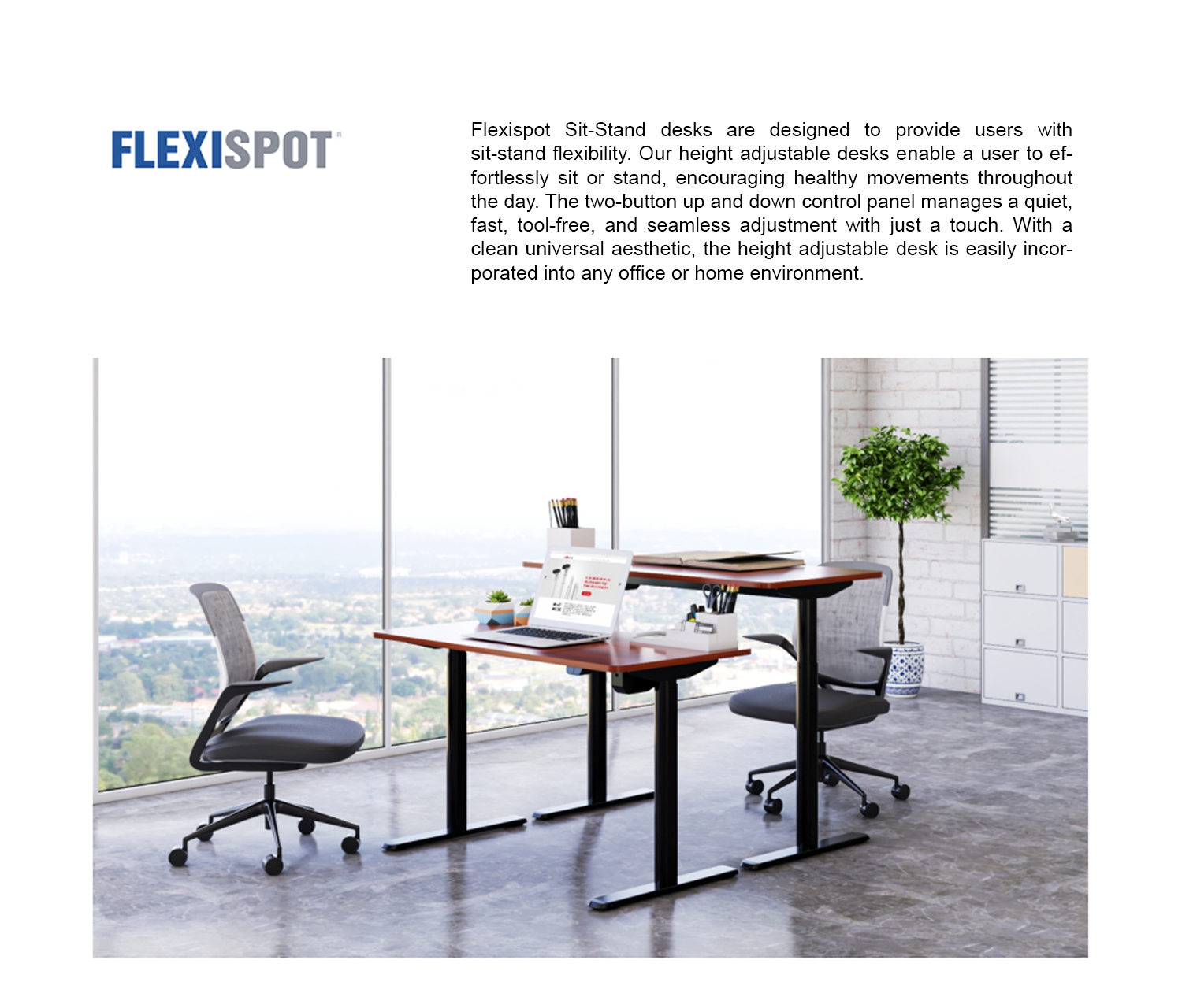 Flexispot Q QE1 Adjustable Standing and Sitting Ergonomic Desk Black C