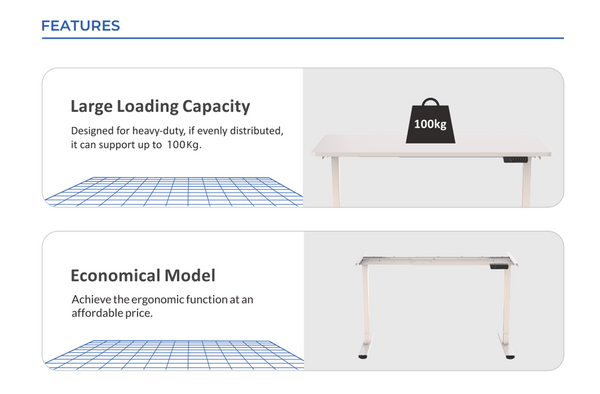 Flexispot E2Pro Ergonomic Adjustable Height Desk