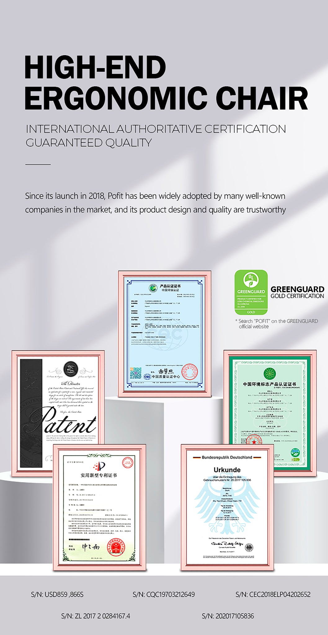 Ergohuman Pofit 2 Matrex USA Patent Mesh Ergonomic Office Chair withou