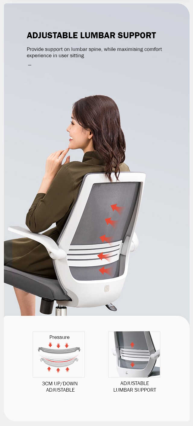 Sihoo M76 Grey Ergonomic Office Chair