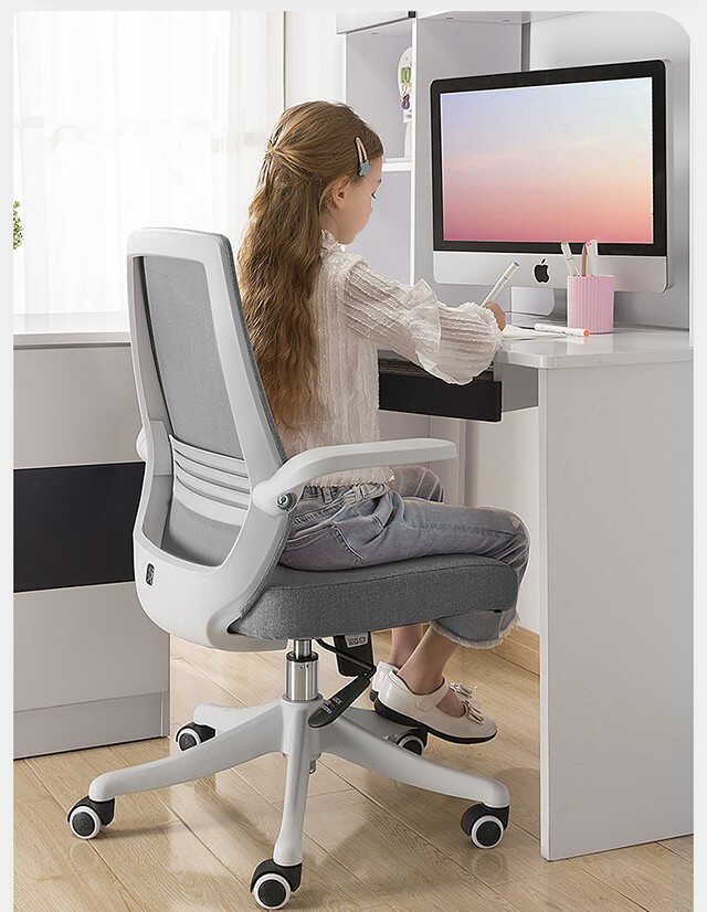 Sihoo M76 Grey Ergonomic Office Chair (1 Year Limited Warranty)